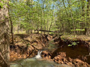 Gallery | Tarrant Ranch